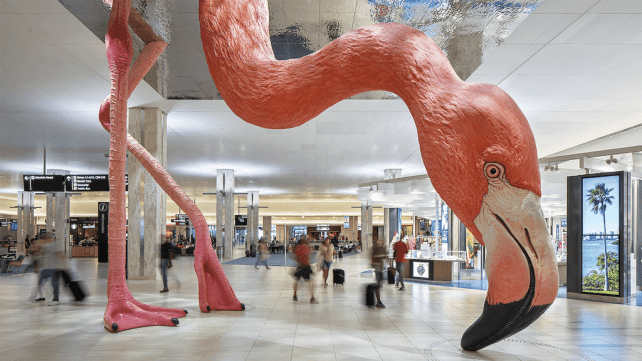 TPA All Access Program Returning to Tampa International Airport ...